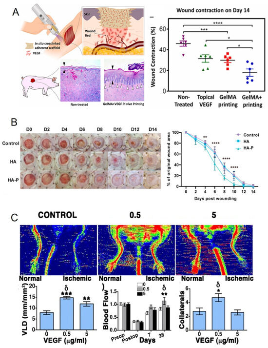 Getting Blood out of a Stone: Vascularization via Spheroids and ...