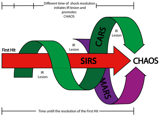Role of Ischemia/Reperfusion and Oxidative Stress in Shock State