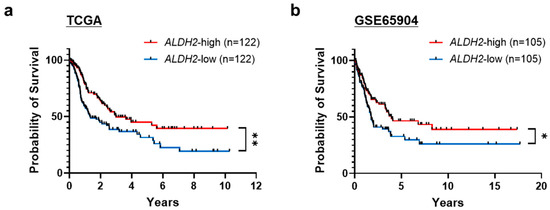 Downregulated ALDH2 Contributes to Tumor Progression and Targeted ...