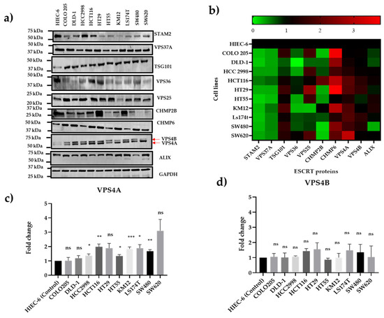 A Novel Modulator of Resistance for Oxaliplatin-Based Therapy for ...