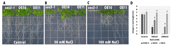 SOS3 from Avicennia marina Enhances Salt Stress Tolerance of ...