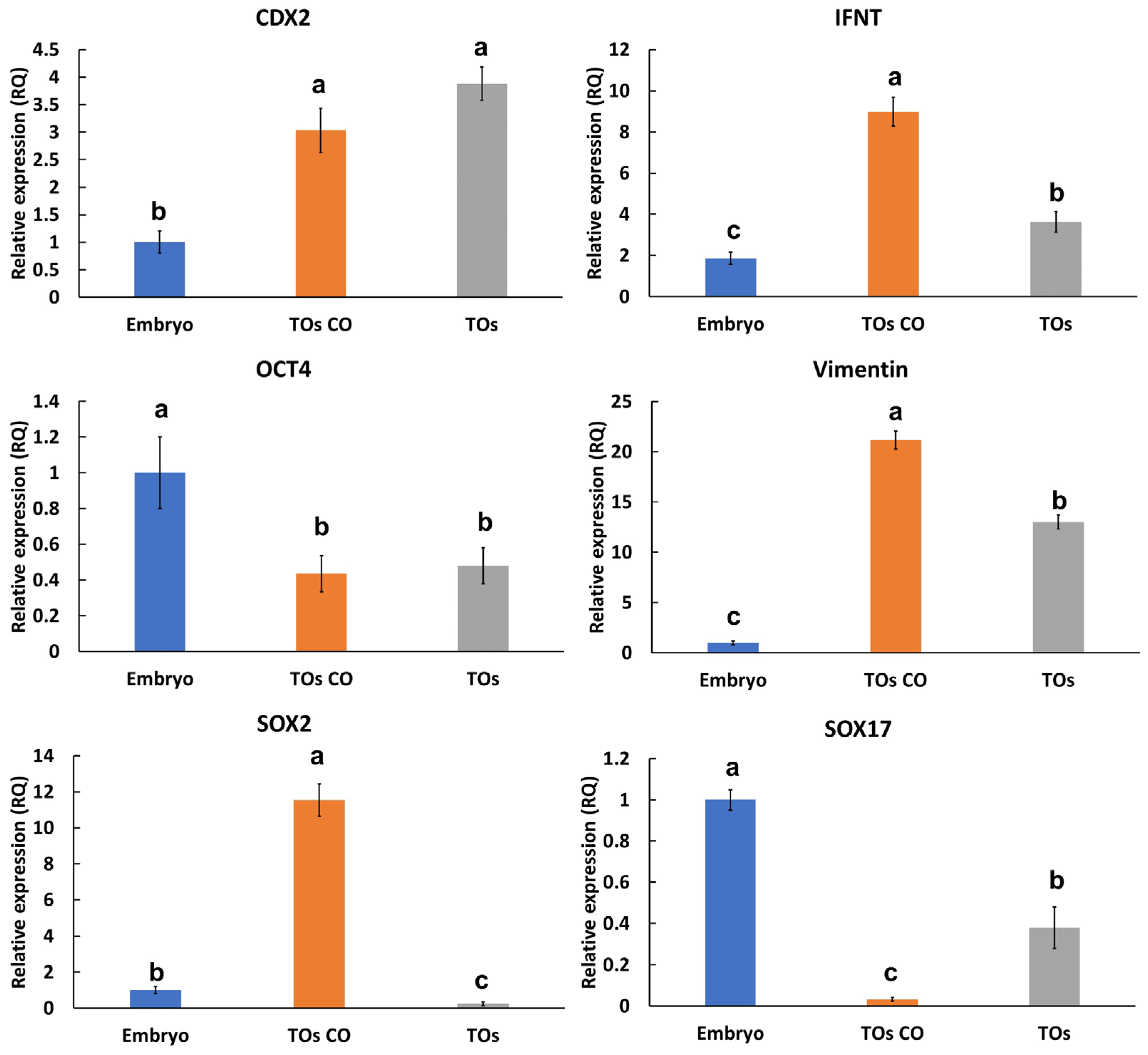 Modeling Early Stages of Trophectoderm–Endometrium Interactions Using ...