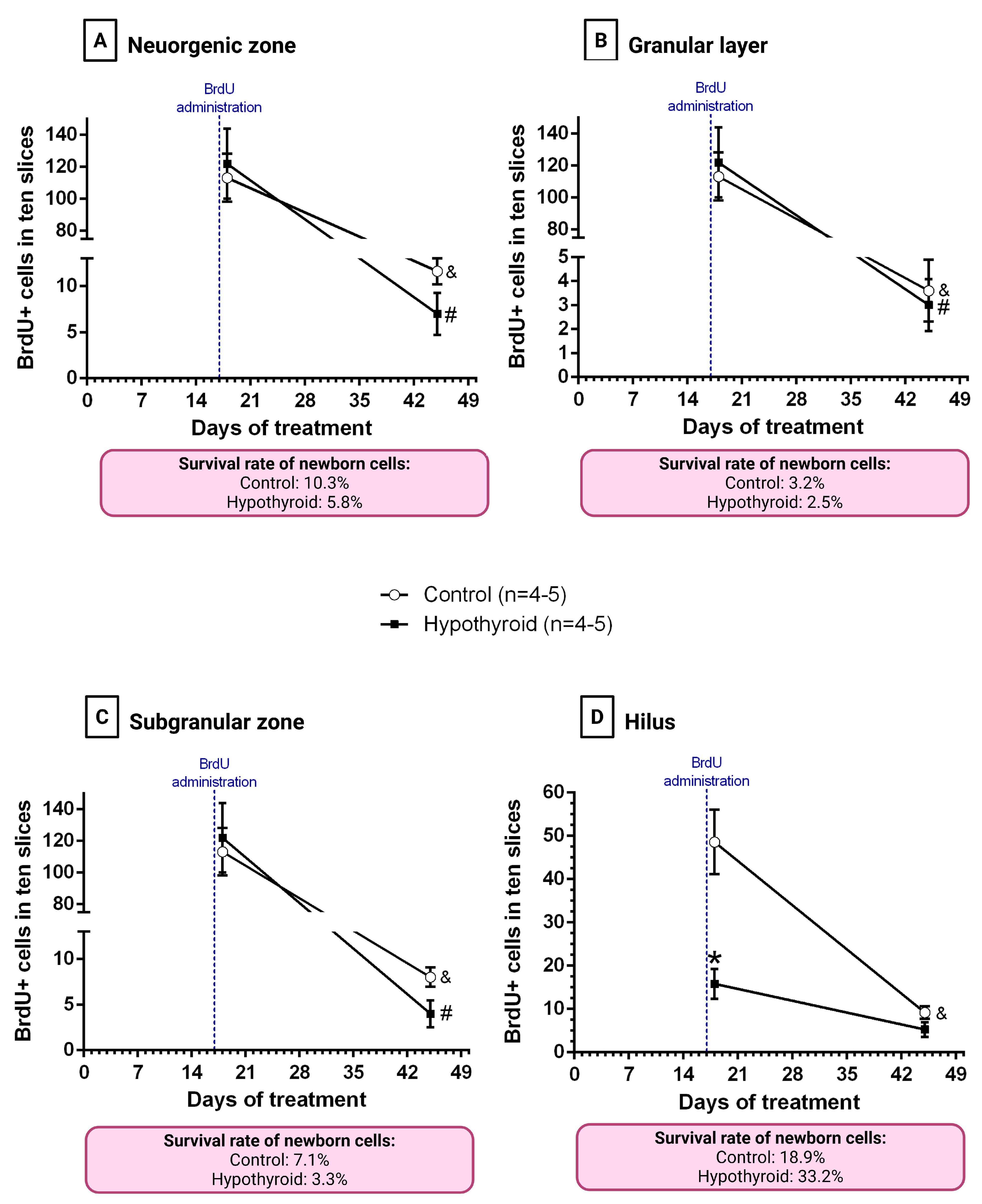 Mitotic Activity, Cell Survival, and Neuronal Differentiation in the ...
