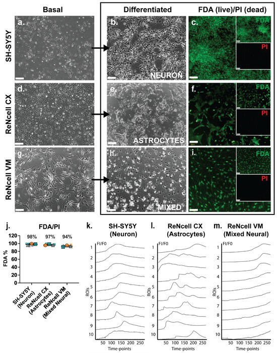 Heparan Sulfate Proteoglycans as Potential Markers for In Vitro Human Neural Lineage Specification