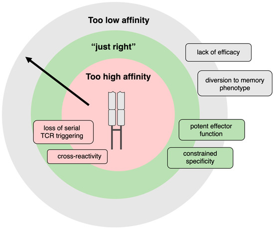 Exploiting TCR Repertoire Analysis to Select Therapeutic TCRs for ...