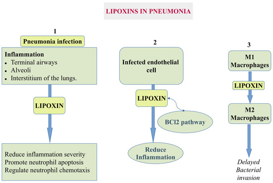 Lipoxins as Modulators of Diseases