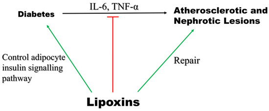 Lipoxins as Modulators of Diseases