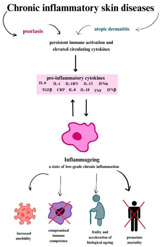 Inflammation-Driven Molecular Ageing in Chronic Inflammatory Skin ...