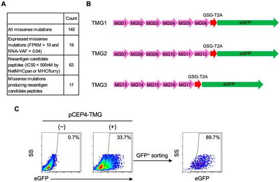 NeoPAIR-T: Functional Mapping of Neoantigen–TCR Pairs Using a CRISPR ...