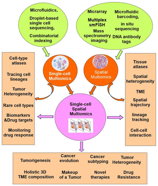 Precision Oncology: Current Landscape, Emerging Trends, Challenges, and ...