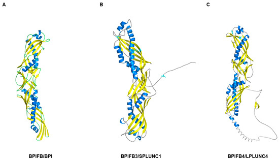 Cellular and Molecular Roles of Human Odorant-Binding Proteins and ...