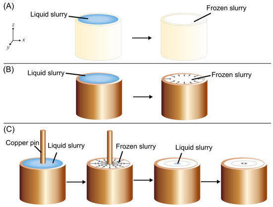 Radial-Concentric Freeze Casting Inspired by Porcupine Fish Spines