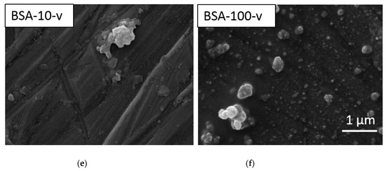 Ceramics | Special Issue : Ceramics for Biomedical Applications