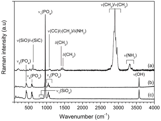 Functionalization of Hydroxyapatite Ceramics: Raman Mapping ...