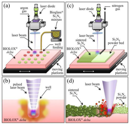 Ceramics | Special Issue : Ceramics for Biomedical Applications