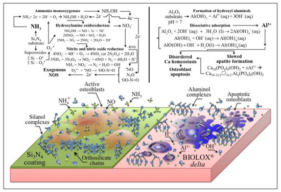 Ceramics | Special Issue : Ceramics for Biomedical Applications