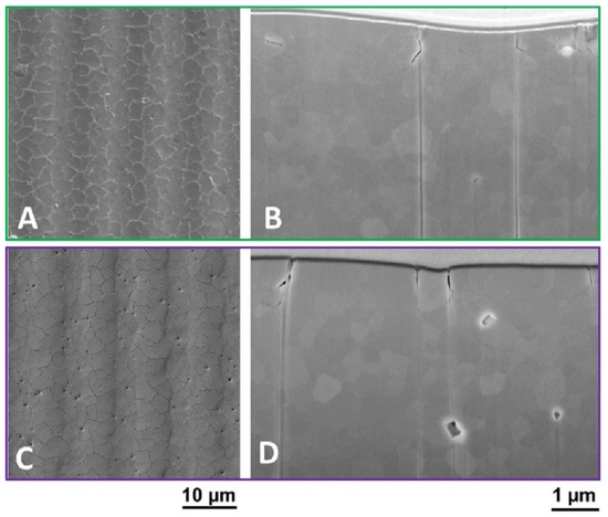 Ceramics | Special Issue : Ceramics for Biomedical Applications