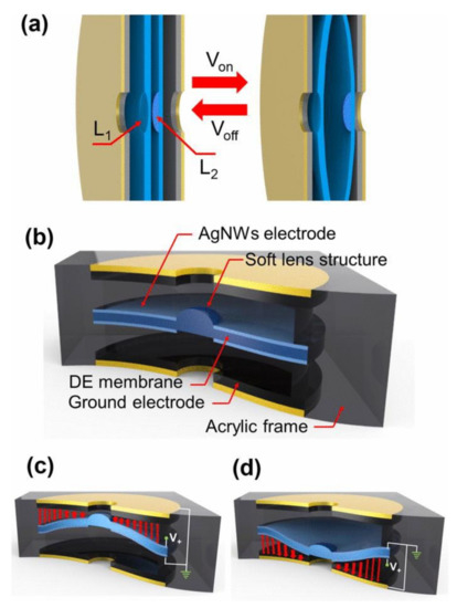 Recent Progress on Electroactive Polymers: Synthesis, Properties and ...