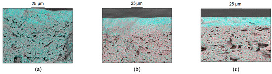 An Anode-Supported Solid Oxide Fuel Cell (SOFC) Half-Cell Fabricated by ...