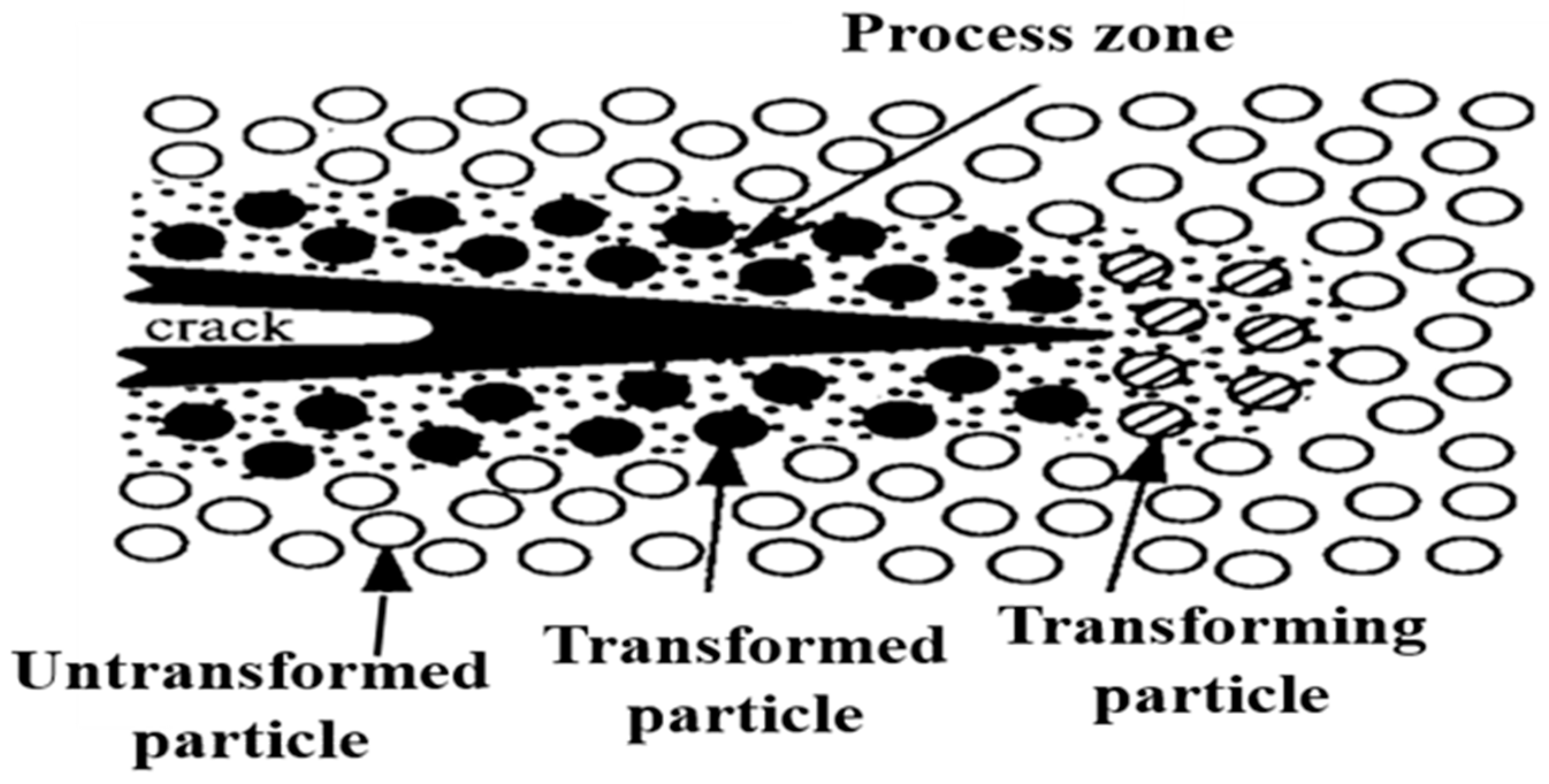 Zirconia-Based Ceramics Reinforced by Carbon Nanotubes: A Review with ...