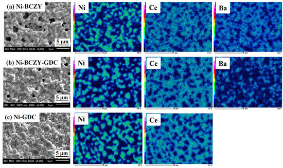 Anodic Performance of Ni–BCZY and Ni–BCZY–GDC Films on BCZY Electrolytes