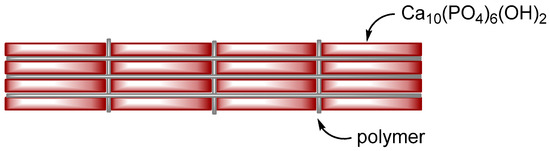 Ceramics | Free Full-Text | Bioinspired Mechanical Materials ...
