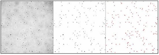 Beyond Scanning Electron Microscopy: Comprehensive Pore Analysis in ...