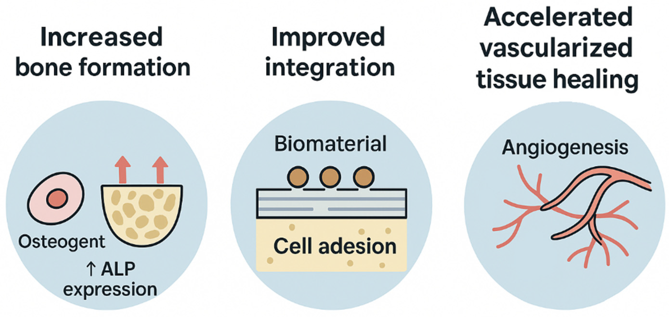 Effects of Photobiomodulation in Association with Biomaterials on the ...
