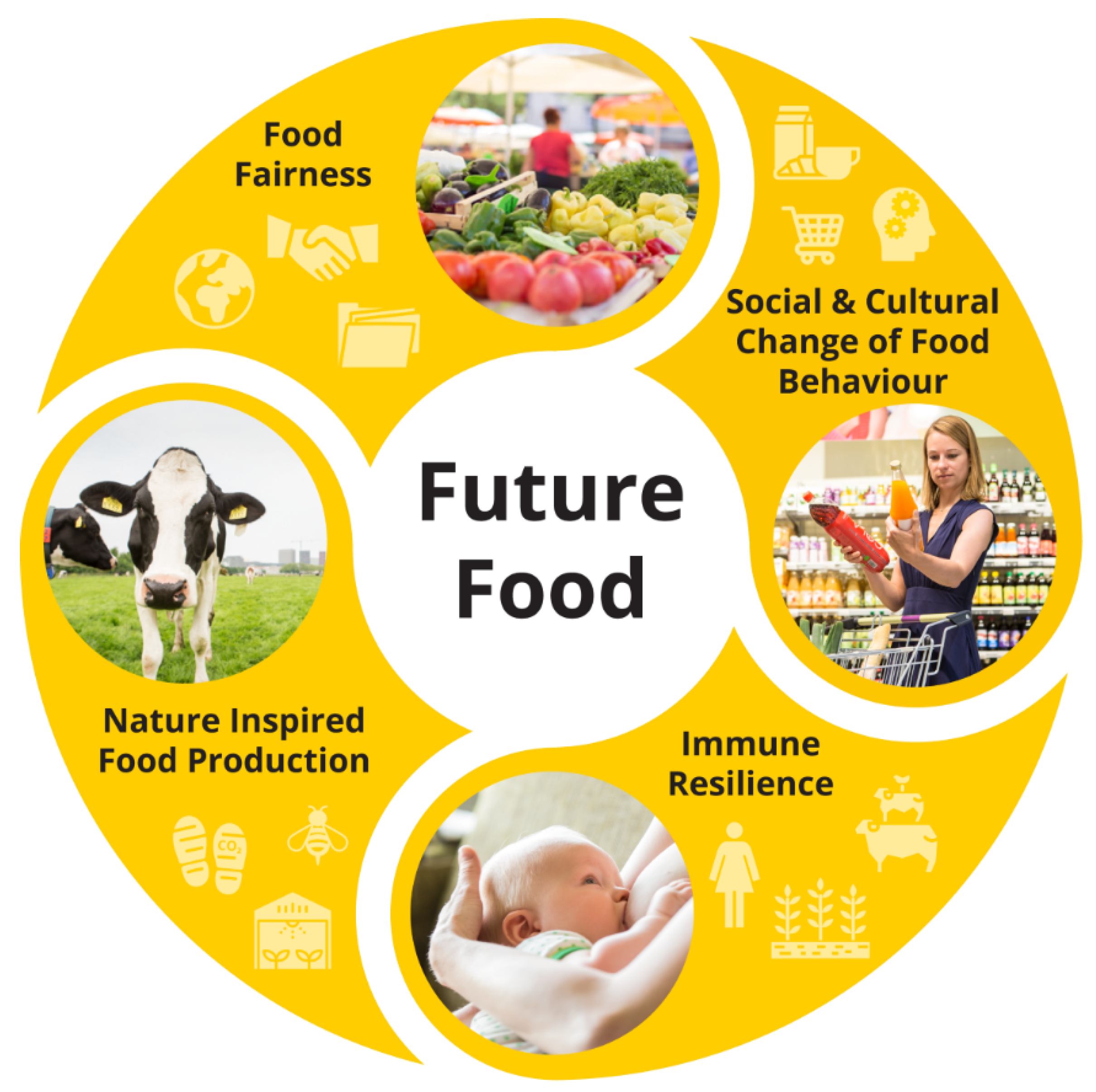 Towards Healthy Planet Diets—A Transdisciplinary Approach to Food ...