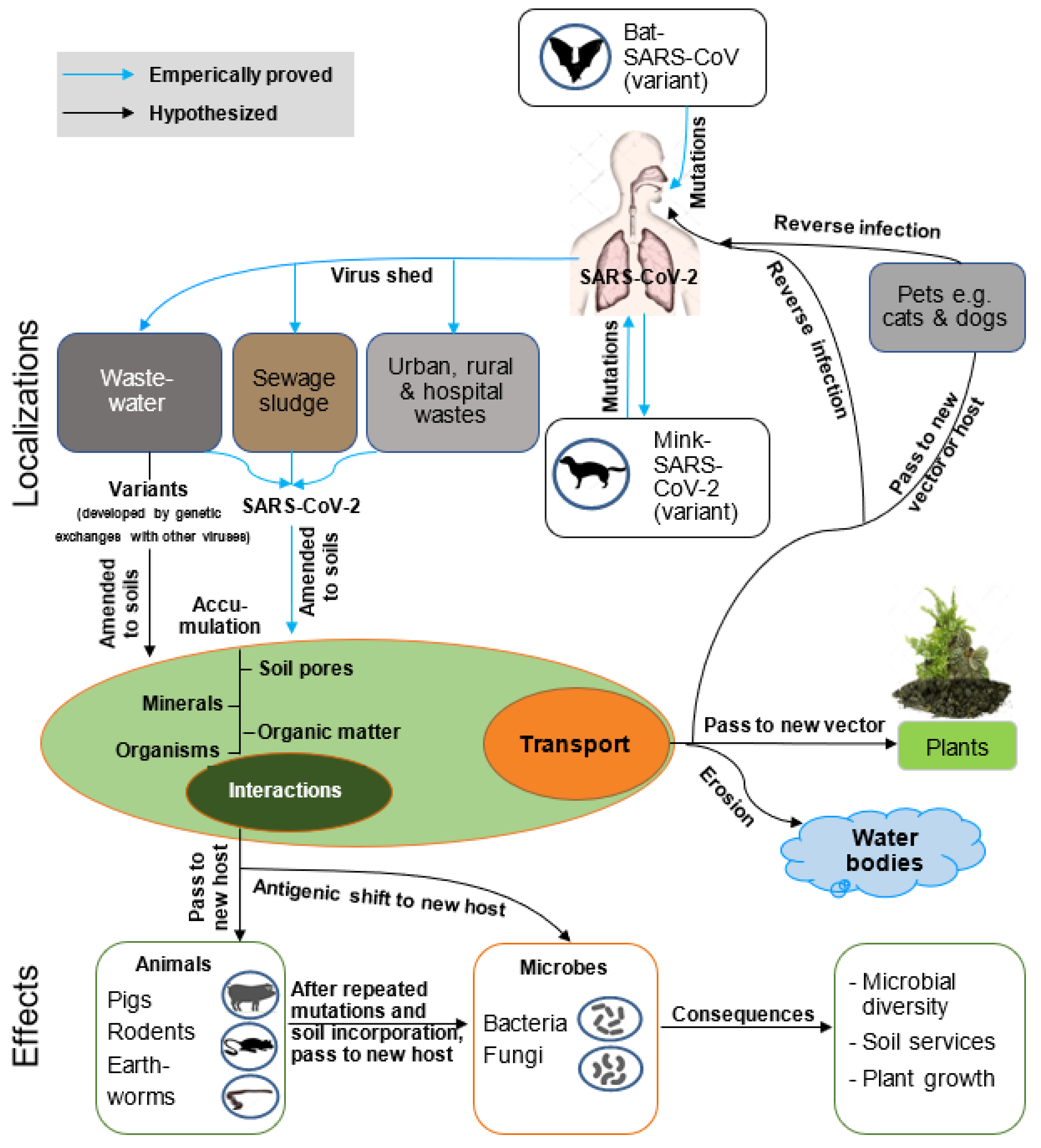 SARS-CoV-2 in Soil: A Microbial Perspective