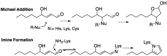 Chemistry | Free Full-Text | Reactive Sterol Electrophiles: Mechanisms ...