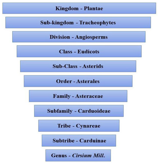 Chemistry | Free Full-Text | Traditional Uses, Phytochemical ...