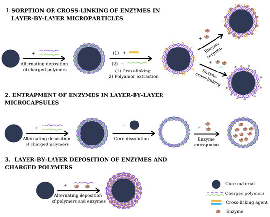 Chemistry | Free Full-Text | Polymer/Enzyme Composite Materials—Versatile Catalysts with ...