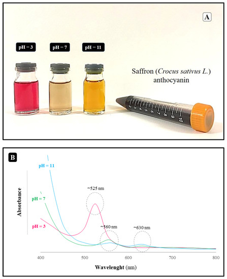 pH-Responsive Color Indicator of Saffron (Crocus sativus L ...