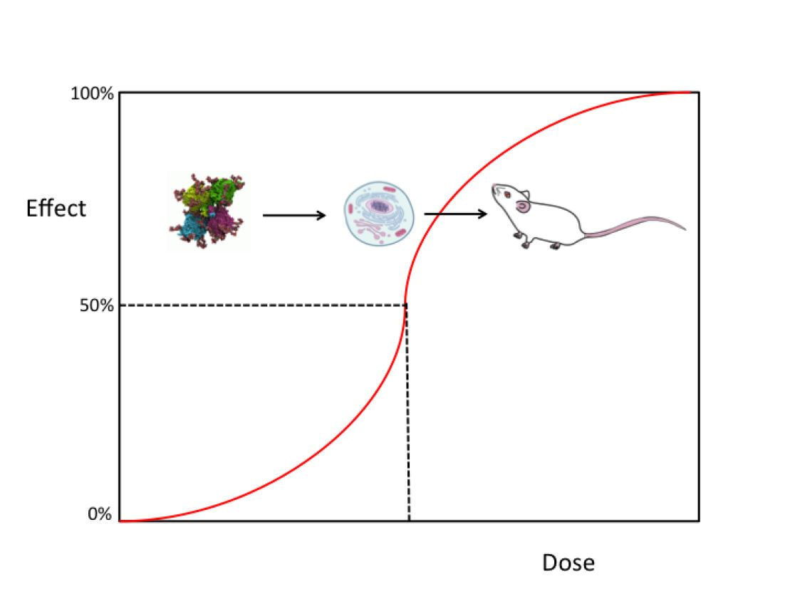 Chemistry | Free Full-Text | Quantitative Measurements of ...