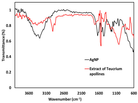 Biofabrication of Silver Nanoparticles Using Teucrium Apollinis Extract: Characterization ...