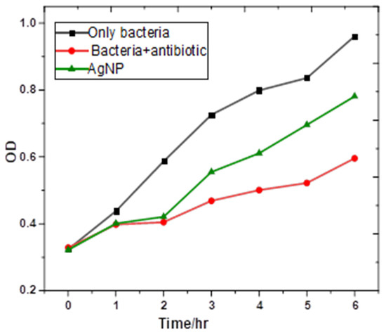 Biofabrication of Silver Nanoparticles Using Teucrium Apollinis Extract: Characterization ...