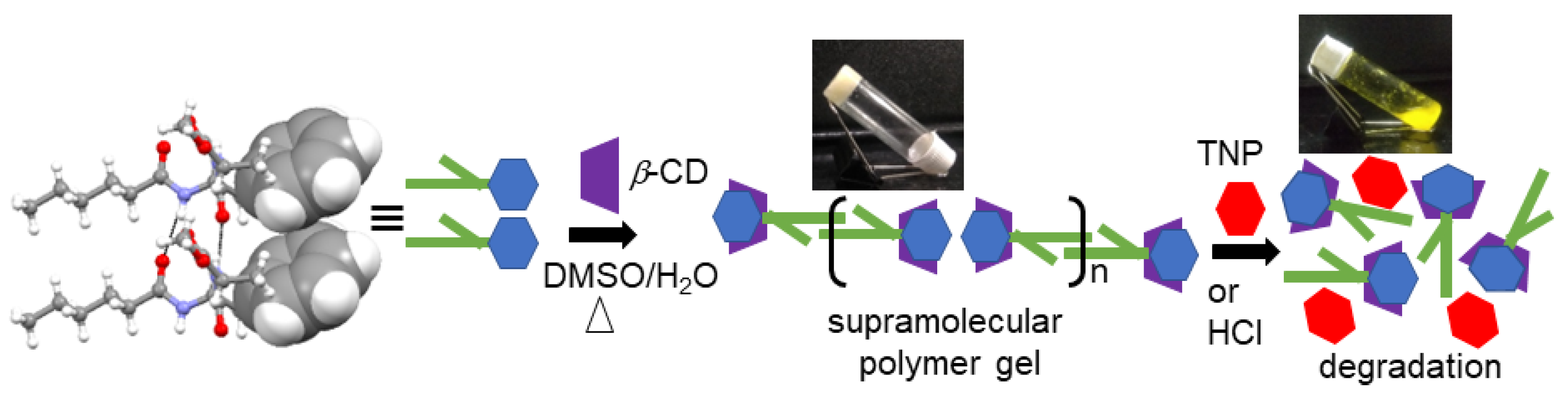 Stimuli-Responsive Designer Supramolecular Polymer Gel