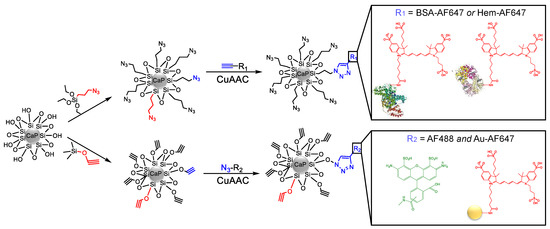 Surface Functionalization of Calcium Phosphate Nanoparticles via Click Chemistry: Covalent ...