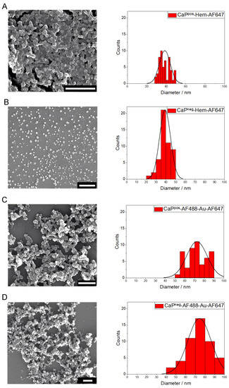 Surface Functionalization of Calcium Phosphate Nanoparticles via Click Chemistry: Covalent ...