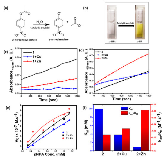 Tweaking of Peripheral Moieties in Catalytic Amyloid for Modulating Hydrogel Strength and ...