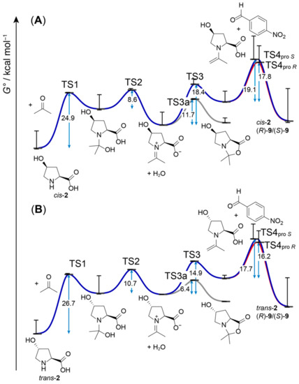 A Pathway for Aldol Additions Catalyzed by l-Hydroxyproline-Peptides ...