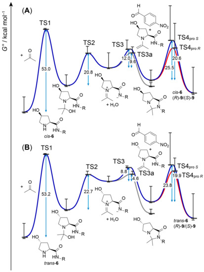 A Pathway for Aldol Additions Catalyzed by l-Hydroxyproline-Peptides ...
