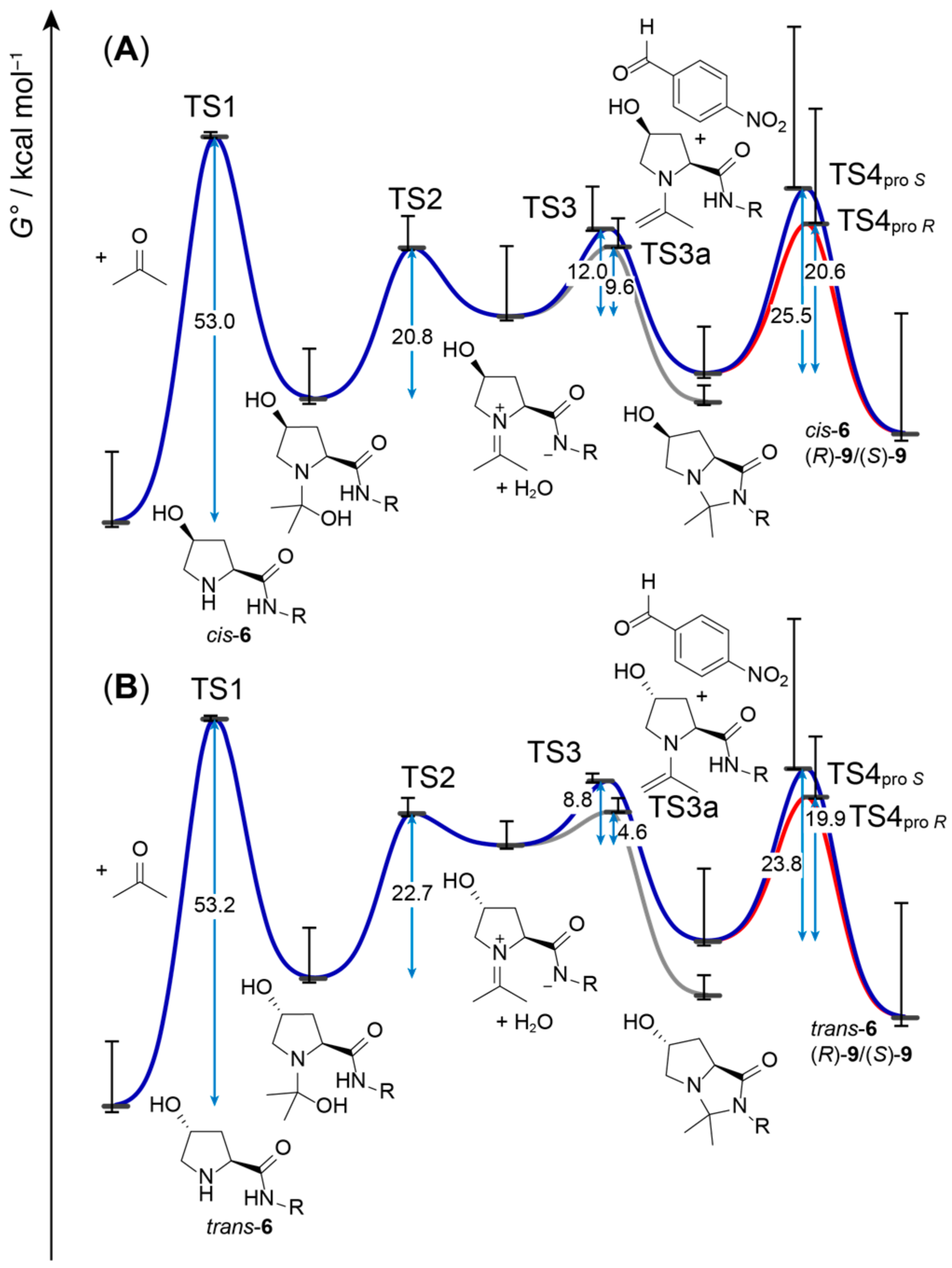 A Pathway for Aldol Additions Catalyzed by l-Hydroxyproline-Peptides ...