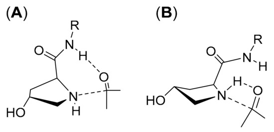 A Pathway for Aldol Additions Catalyzed by l-Hydroxyproline-Peptides ...