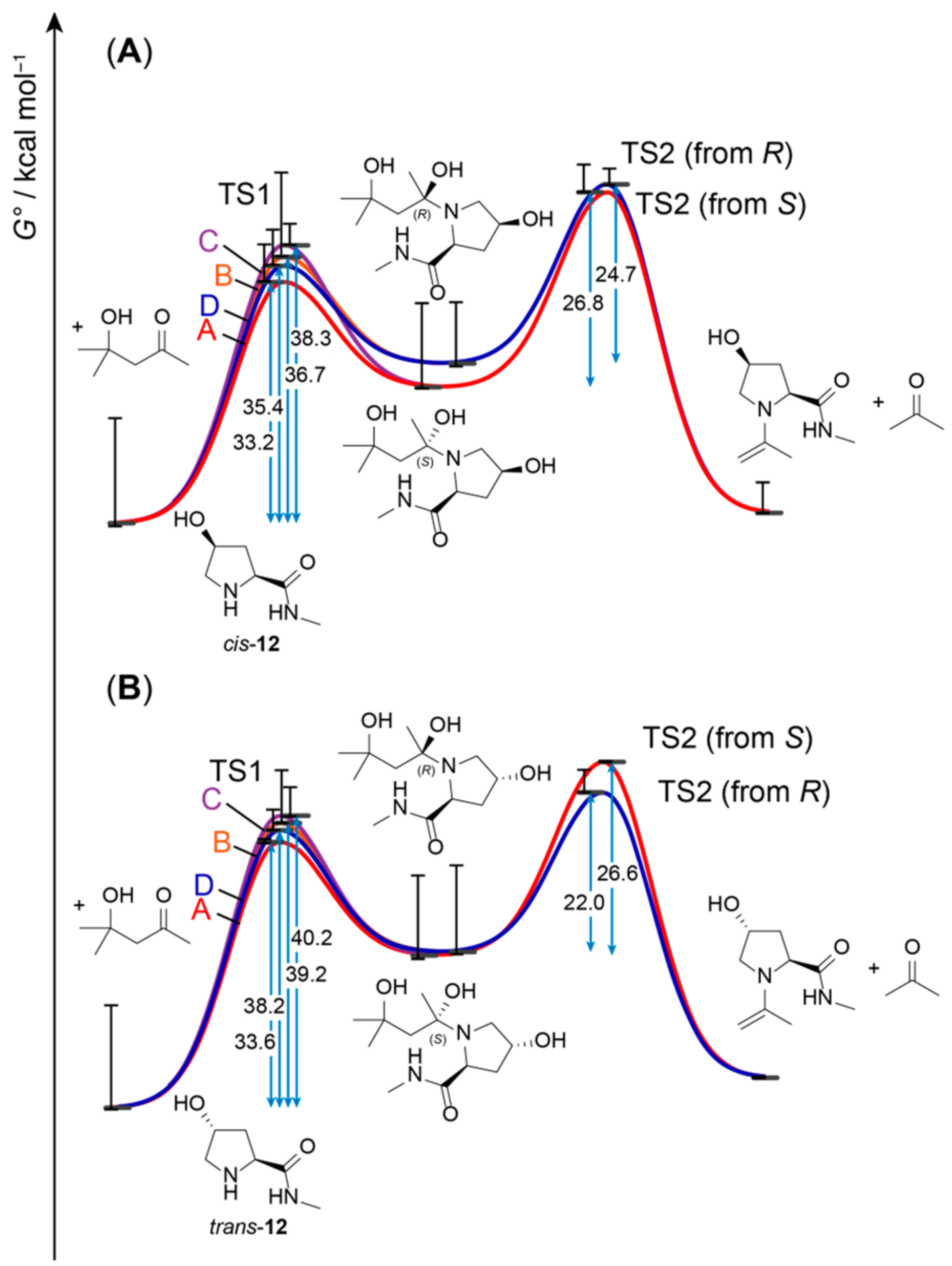 A Pathway for Aldol Additions Catalyzed by l-Hydroxyproline-Peptides ...