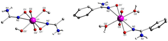 Synthetic and Structural Chemistry of Uranyl-Amidoxime Complexes ...