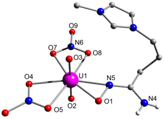 Synthetic and Structural Chemistry of Uranyl-Amidoxime Complexes ...