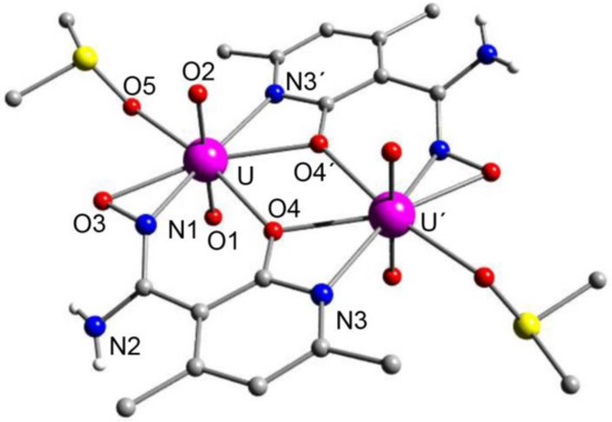 Synthetic and Structural Chemistry of Uranyl-Amidoxime Complexes ...