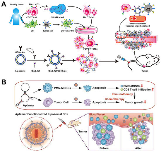 Aptamer-Based Immune Drug Systems (AptIDCs) Potentiating Cancer ...